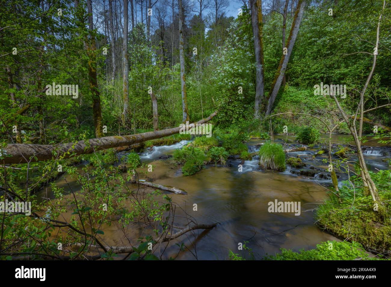 Czartowe Pole Nature Reserve, The gorge of the Devil's Field ...
