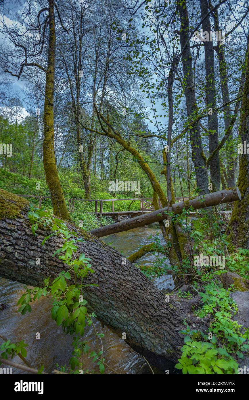 Czartowe Pole Nature Reserve, The gorge of the Devil's Field ...