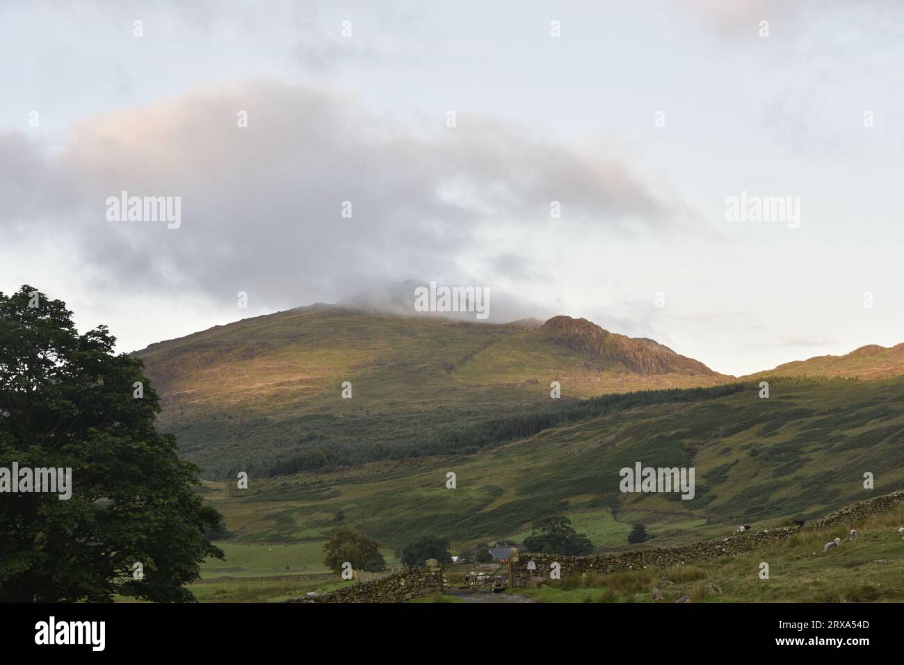 Cockley Beck, Duddon Valley, Lake District National Park, 8th August ...