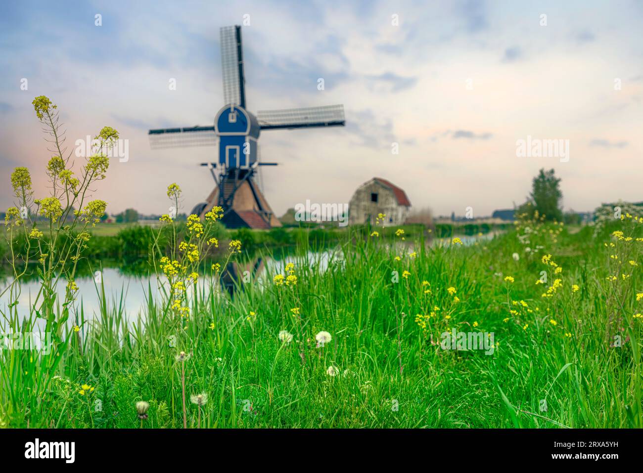 Polder Windmill Geremolen De Blauwe Wip in South Holland, Netherlands ...