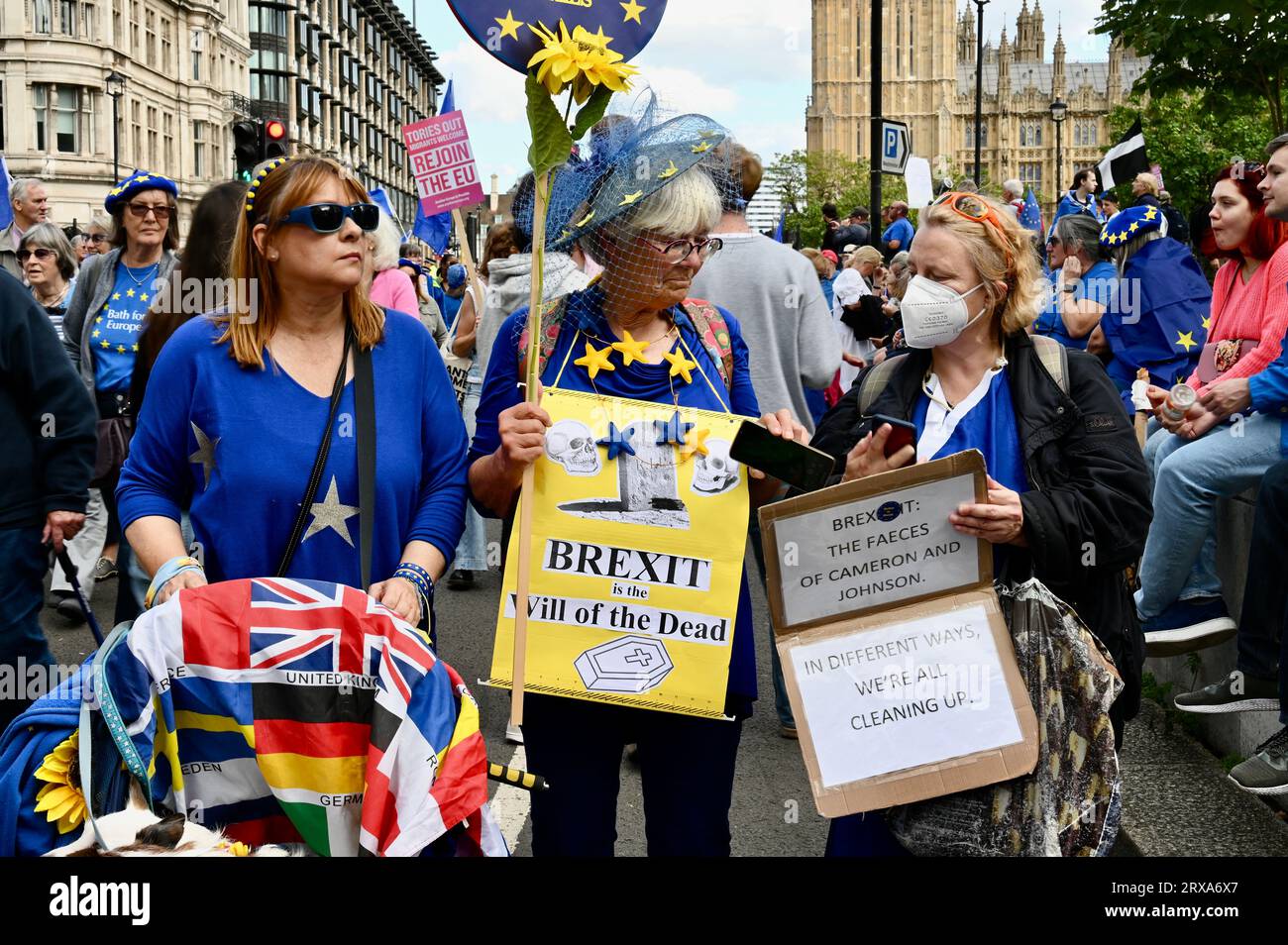 National eu rejoin march ii hi-res stock photography and images - Alamy