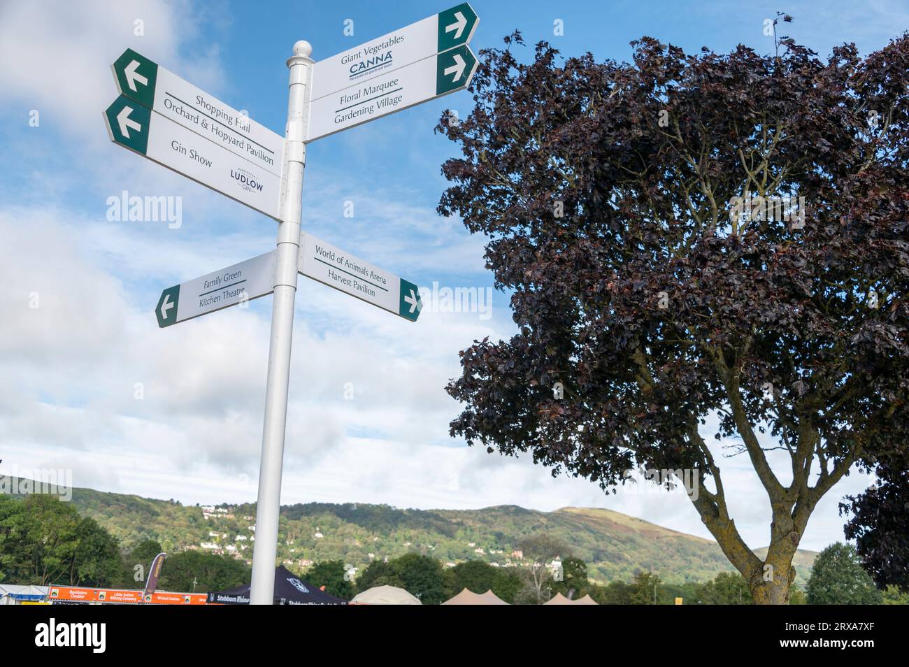 The Malvern Autumn show held at the Three Counties Showgrounds at ...