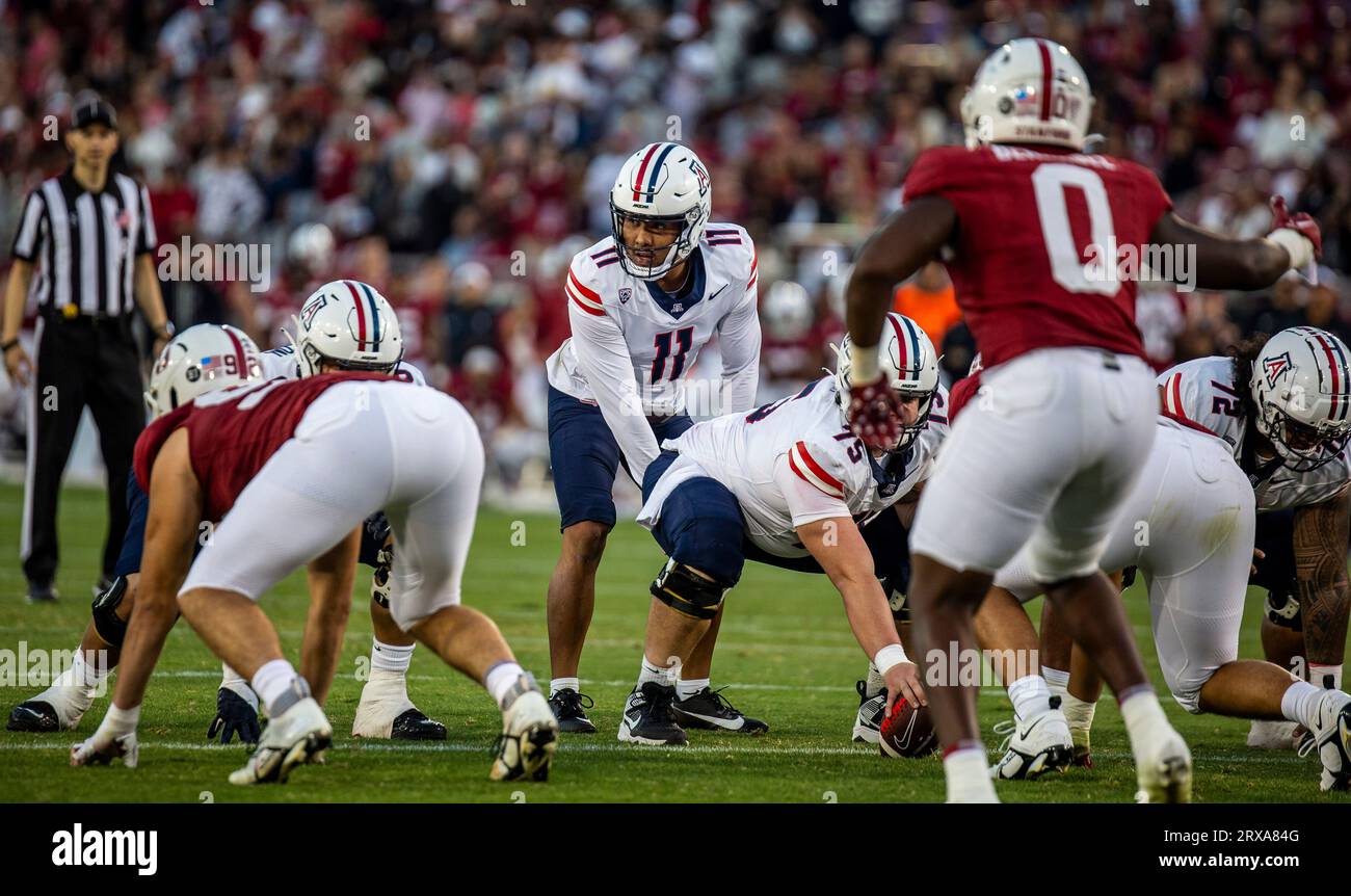 September 23 2023 Palo Alto, CA USA Arizona quarterback Noah Fifita (11 ...