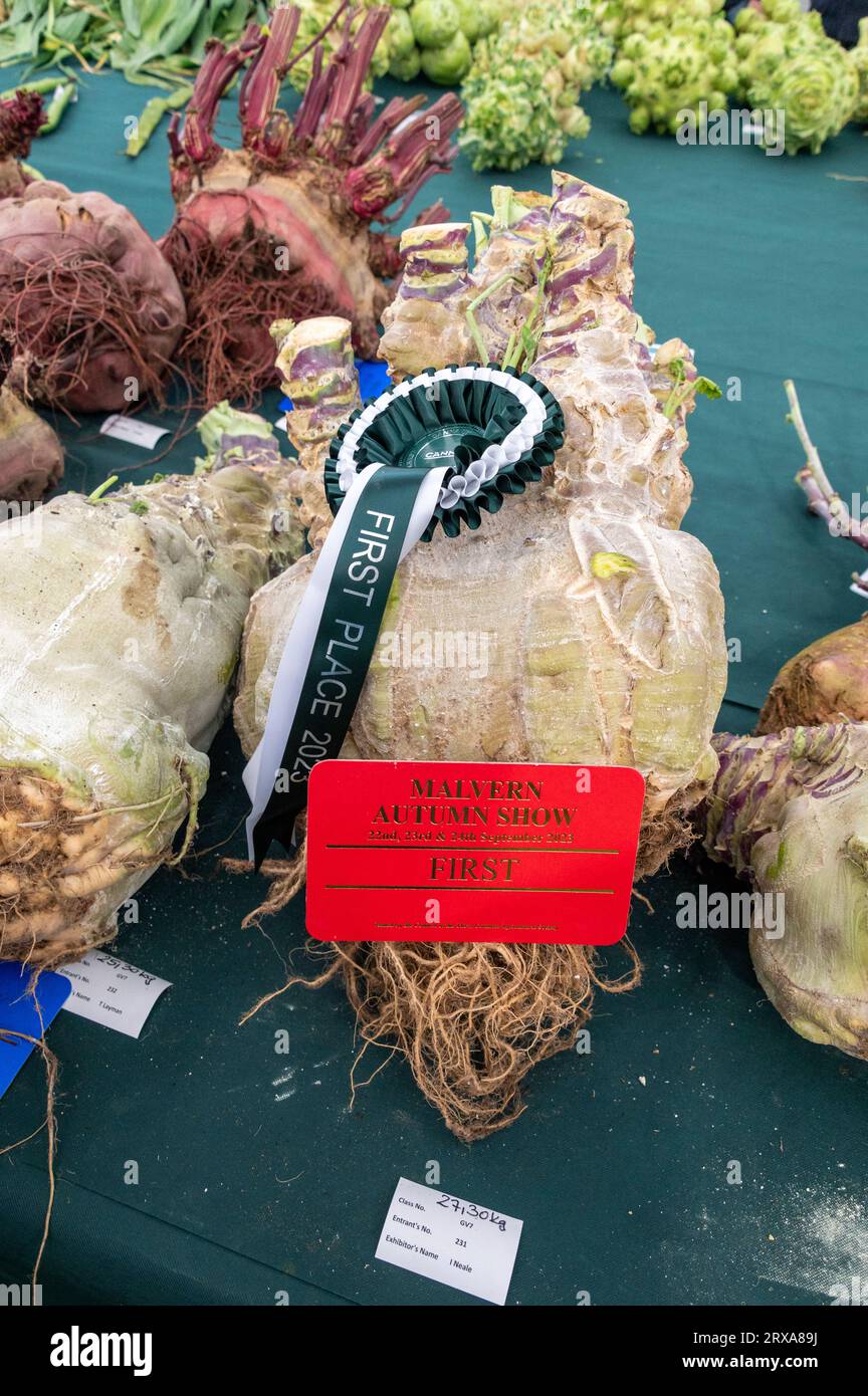 A giant vegetable on display at the Malvern Autumn show held at the ...