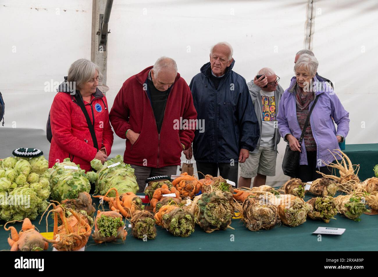 A selection of vegetables on display at the Malvern Autumn show held at ...