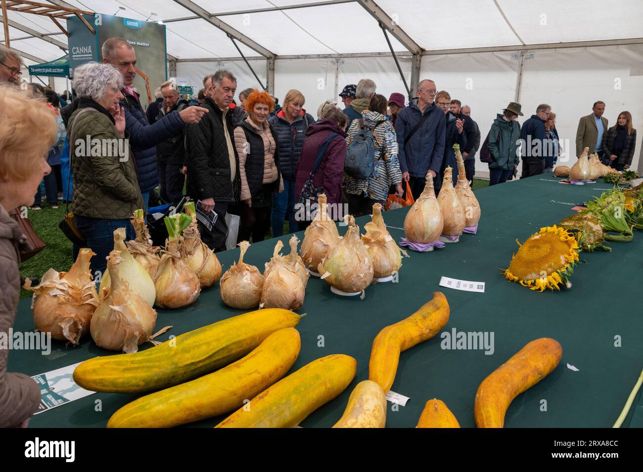 A selection of vegetables on display at the Malvern Autumn show held at ...