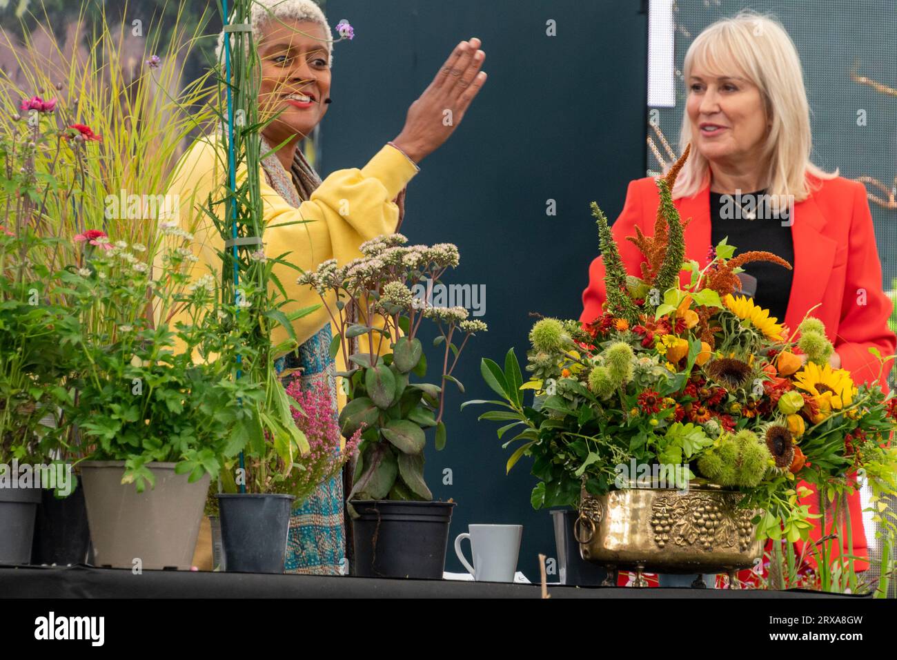 Gardening advice from two TV gardening programme presenters, Arit Anderson and Nicki Chapman in ...