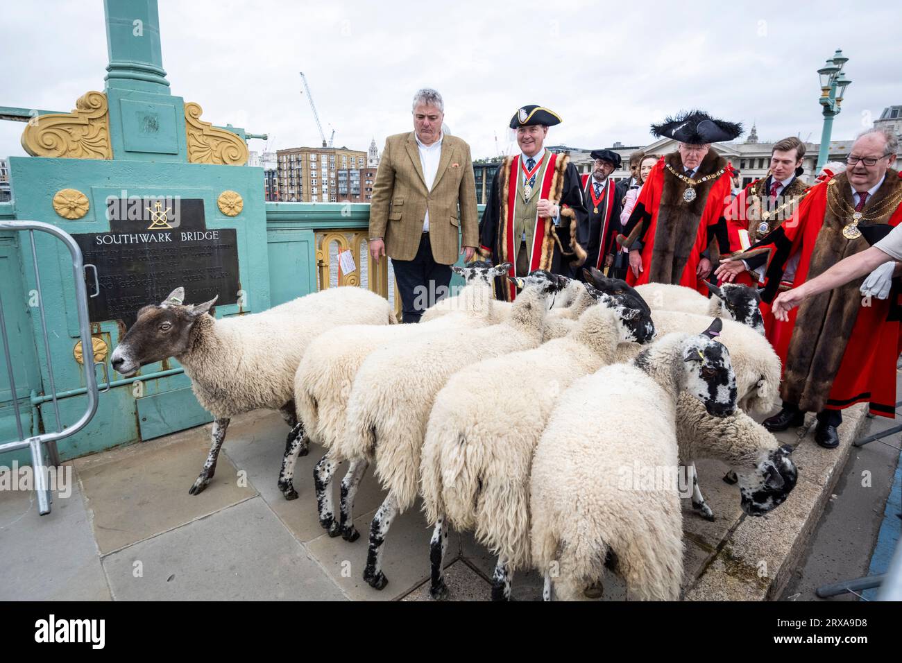 Richard corrigan chef hi-res stock photography and images - Alamy