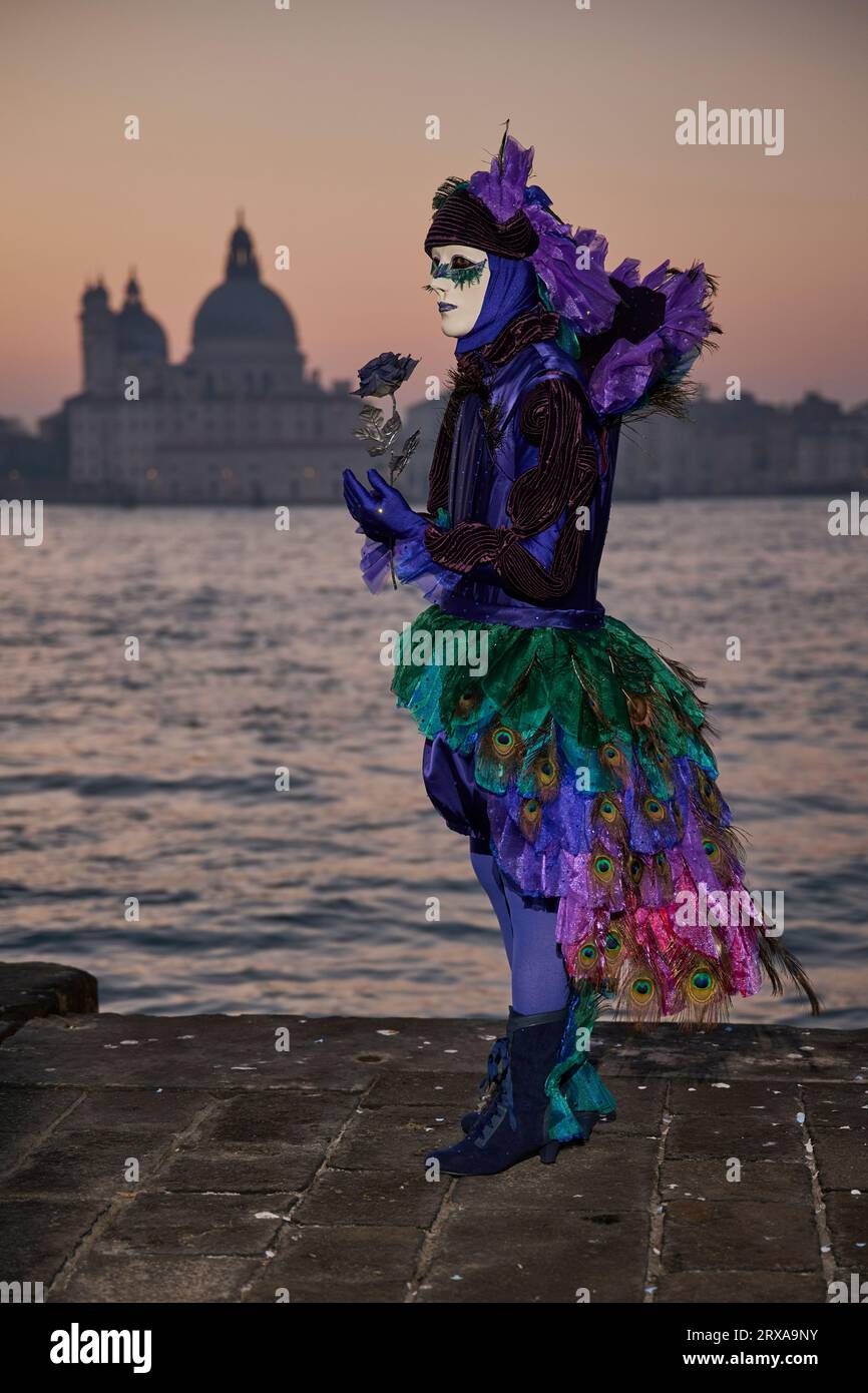Venice masks embracing hi-res stock photography and images - Alamy