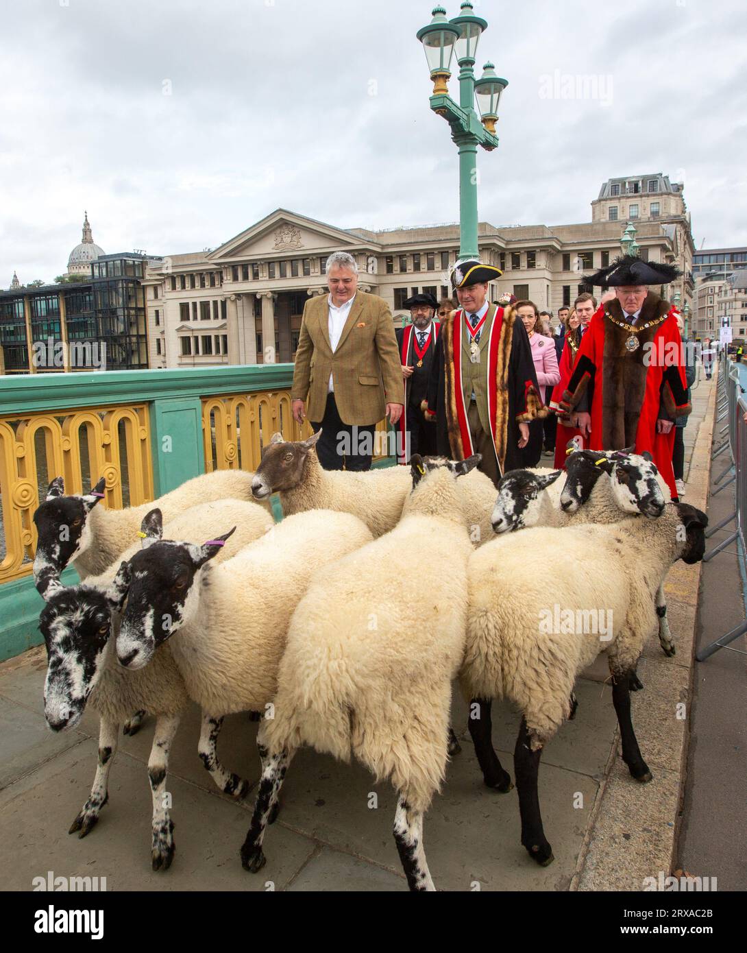 Richard corrigan chef hi-res stock photography and images - Alamy