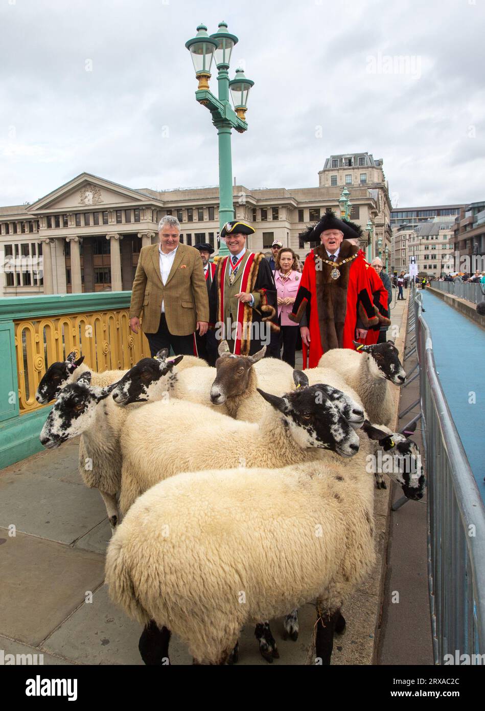 Richard corrigan chef hi-res stock photography and images - Alamy
