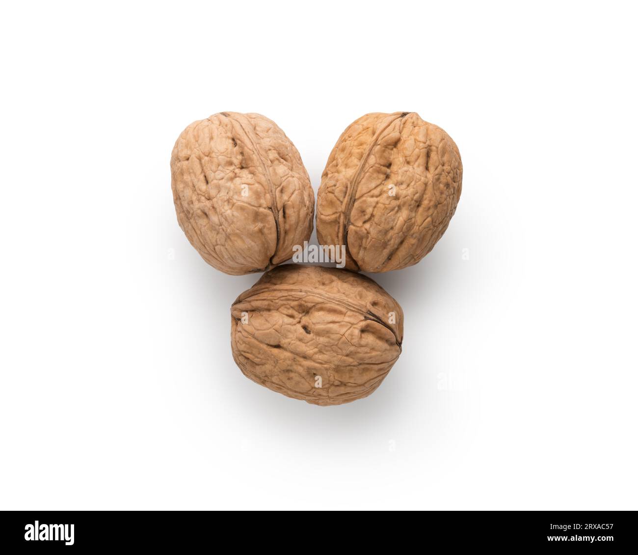 Three walnuts top view on white background, from above Stock Photo - Alamy