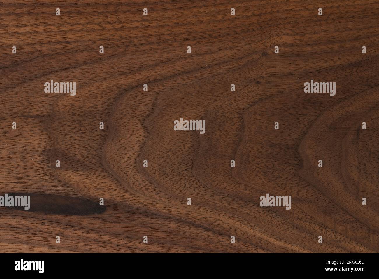 Black walnut wood texture with oil finish closeup, background photo ...
