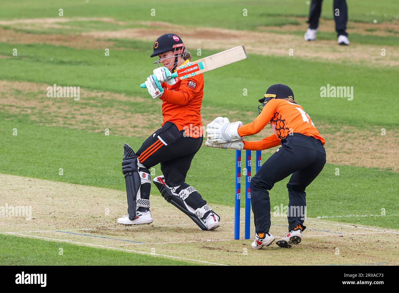 The Blaze's Tammy Beaumont (left) with Southern Vipers' Rihanna Southby ...