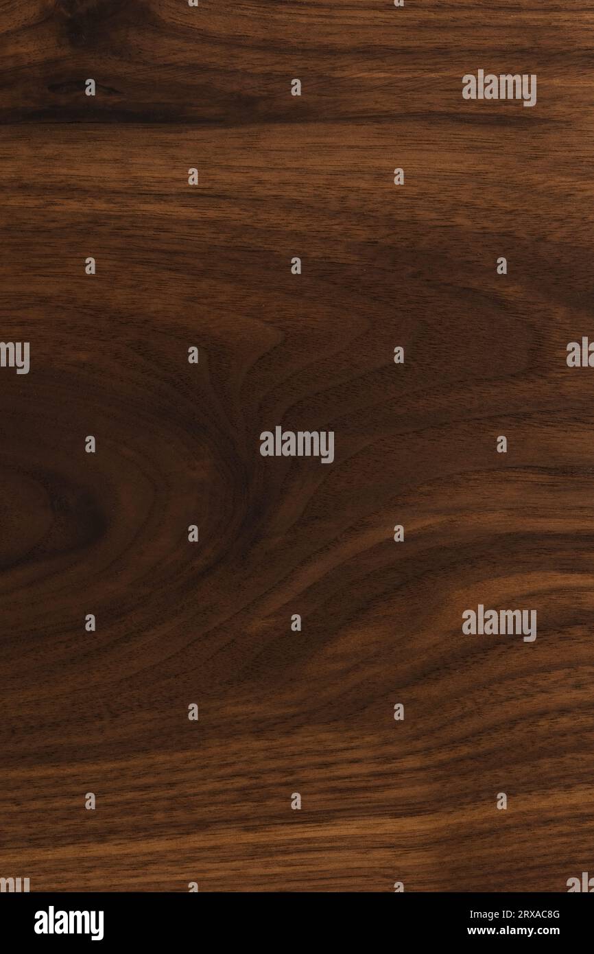 Black walnut wood texture with oil finish closeup, background photo ...