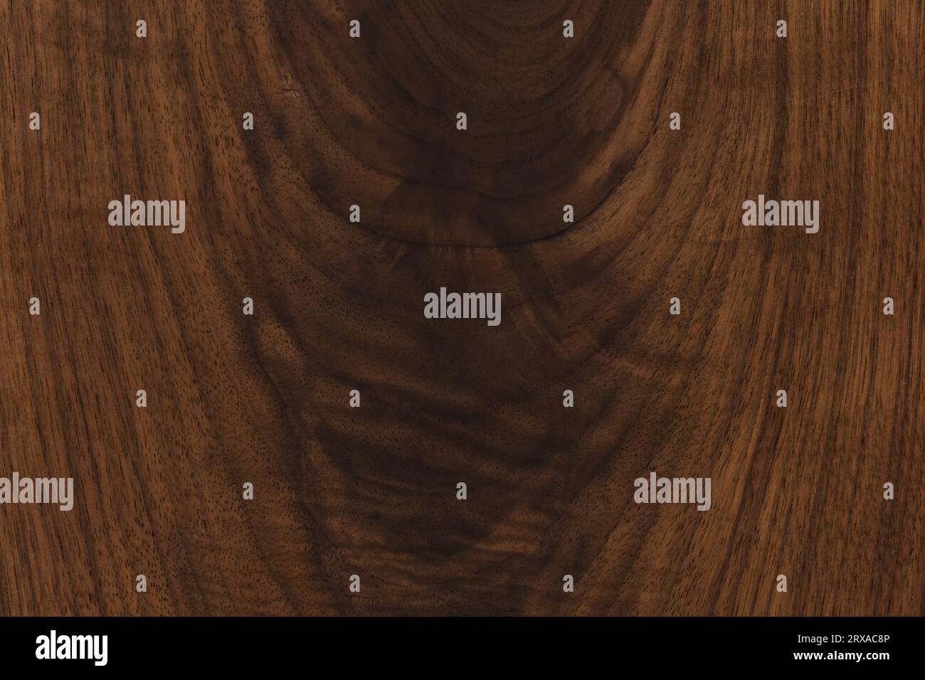 Black walnut wood texture with oil finish closeup, background photo ...