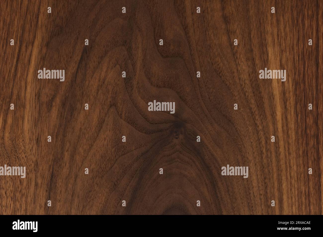 Black walnut wood texture with oil finish closeup, background photo ...