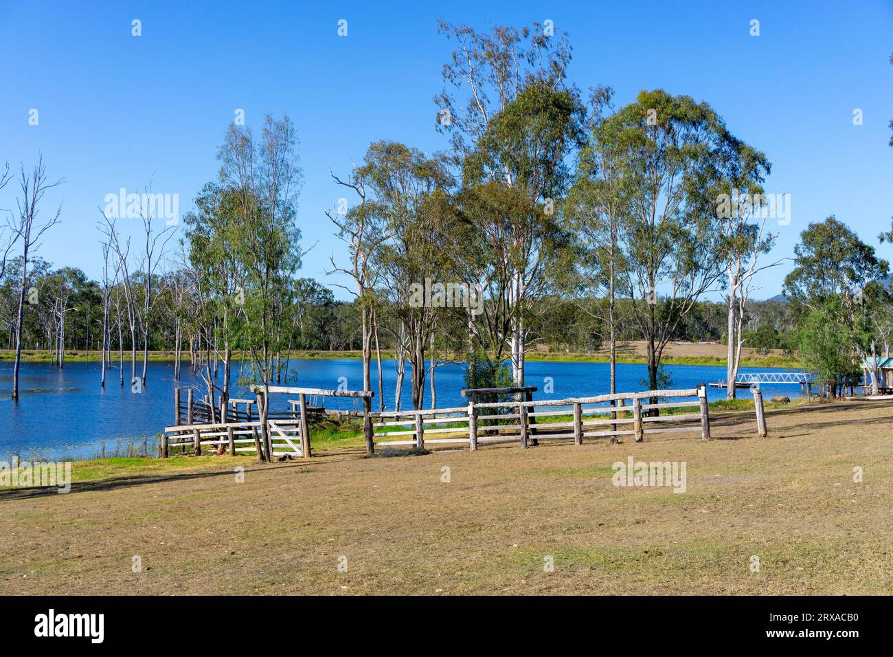 Old cattle yards and fence on banks of freshwater dam, Childers ...