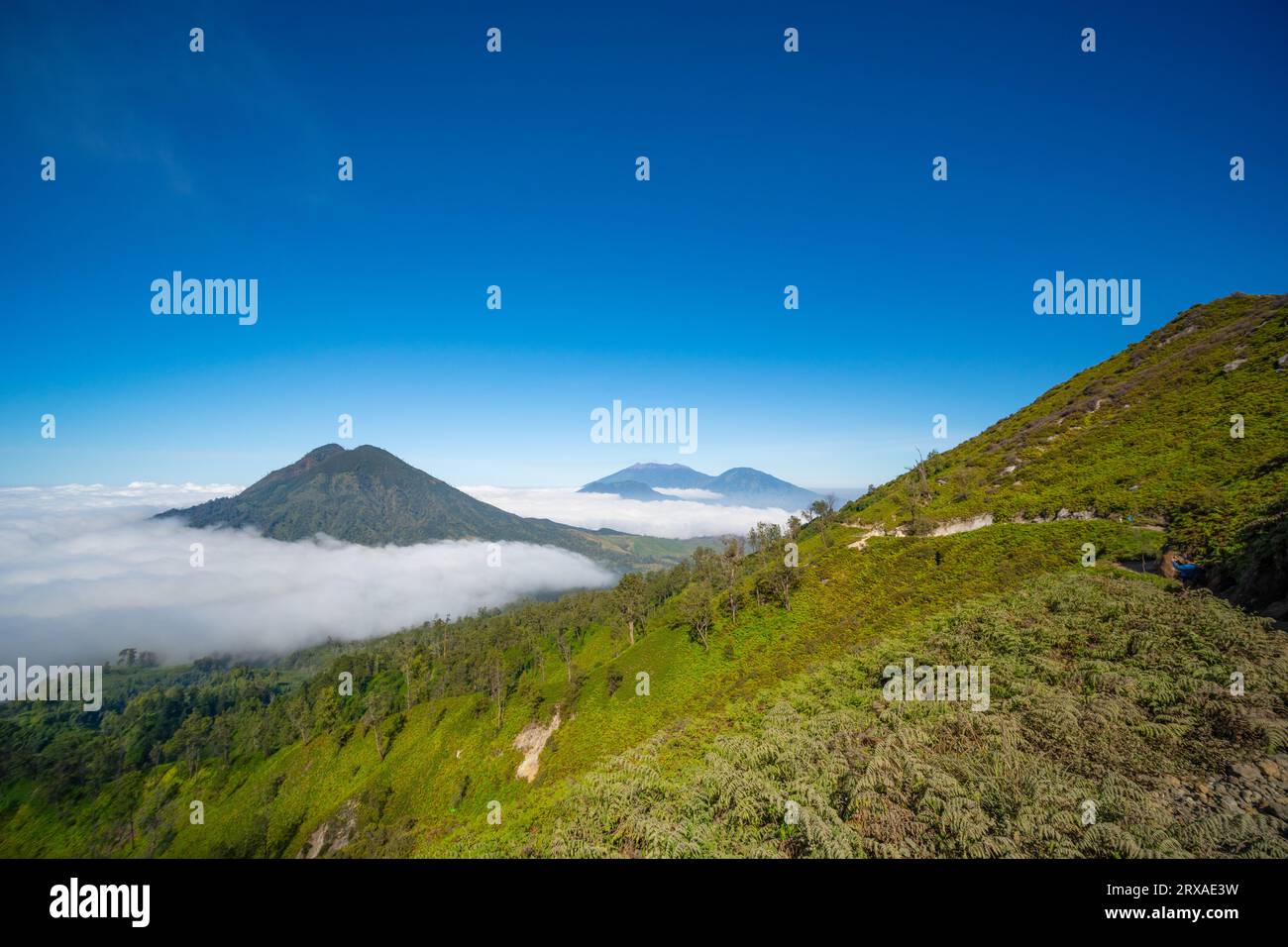 Beautiful nature Landscape mountain and fog at Kawah Ijen volcano,East ...