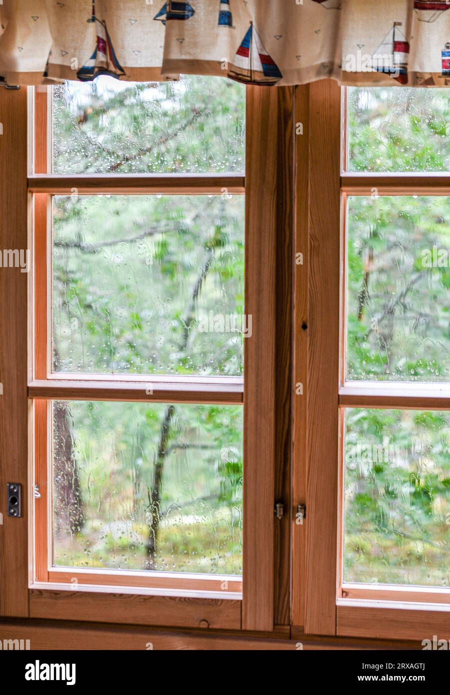 Windy rainstorm hi-res stock photography and images - Alamy