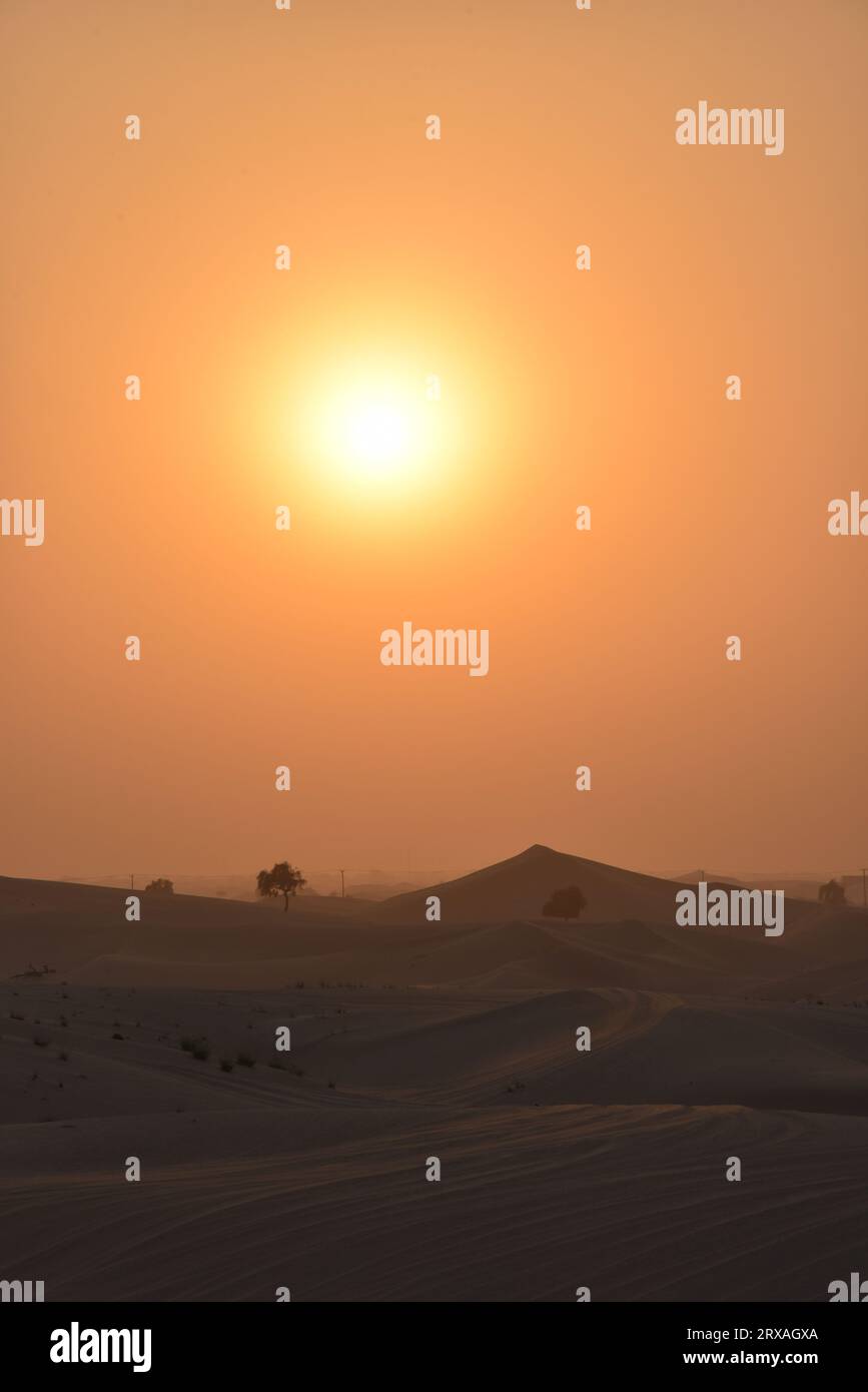 Desert in UAE Stock Photo - Alamy