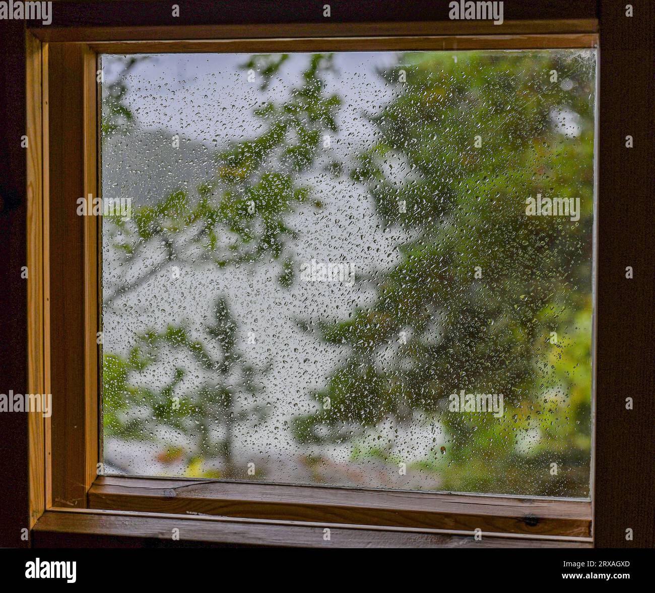 Wind rain glass hi-res stock photography and images - Alamy