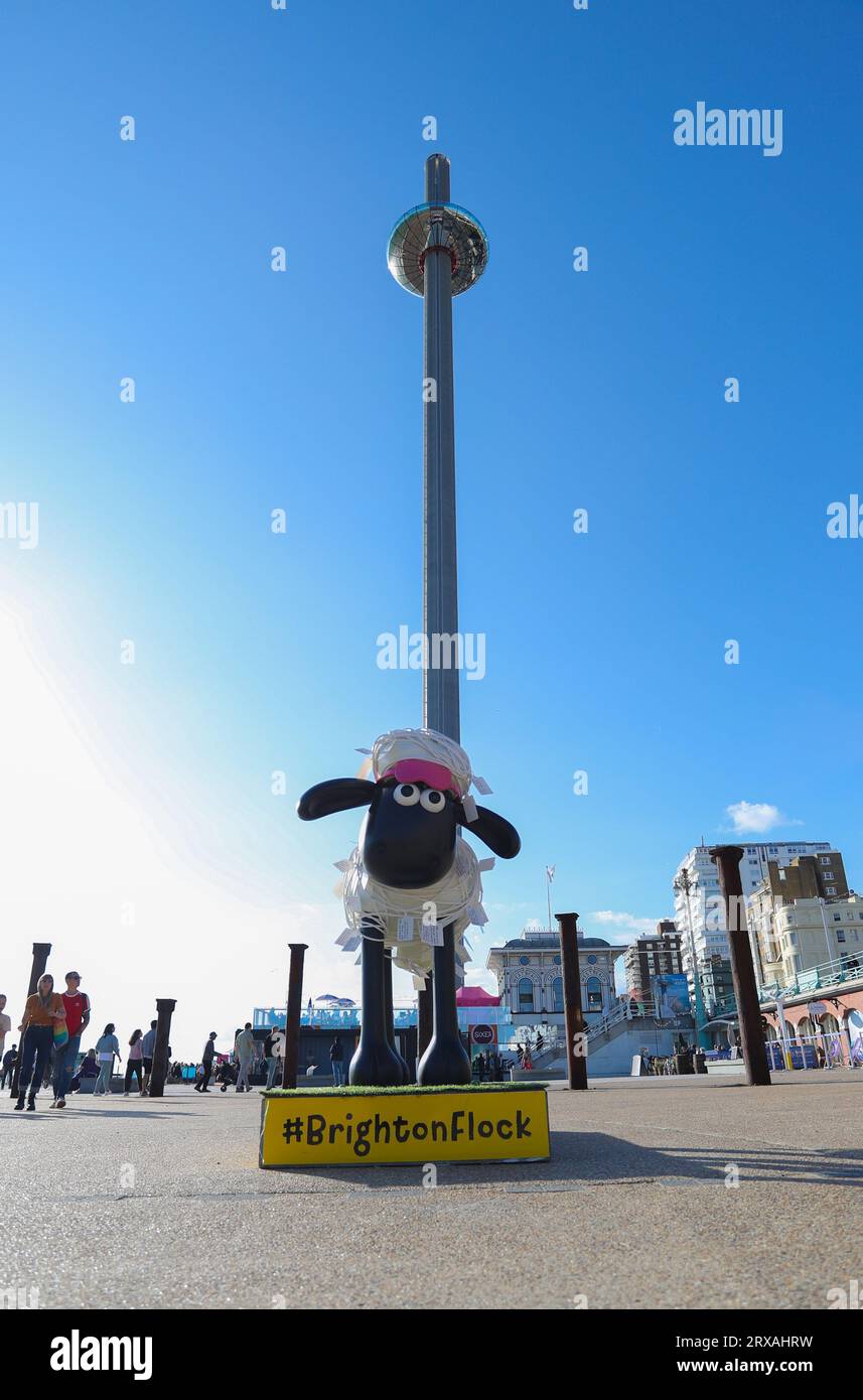 Sheep in brighton hi-res stock photography and images - Alamy