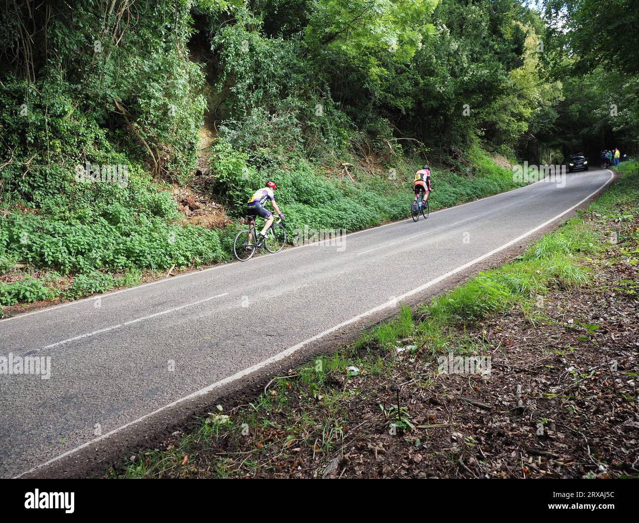 1 in 4 gradient hi-res stock photography and images - Alamy