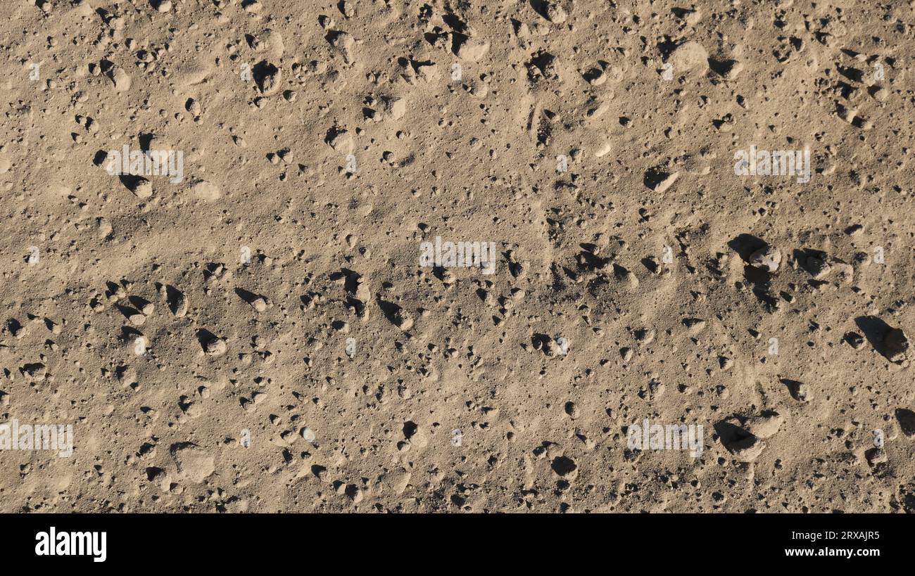 fragment of sandy earth with small lumps in bright sunlight view from ...