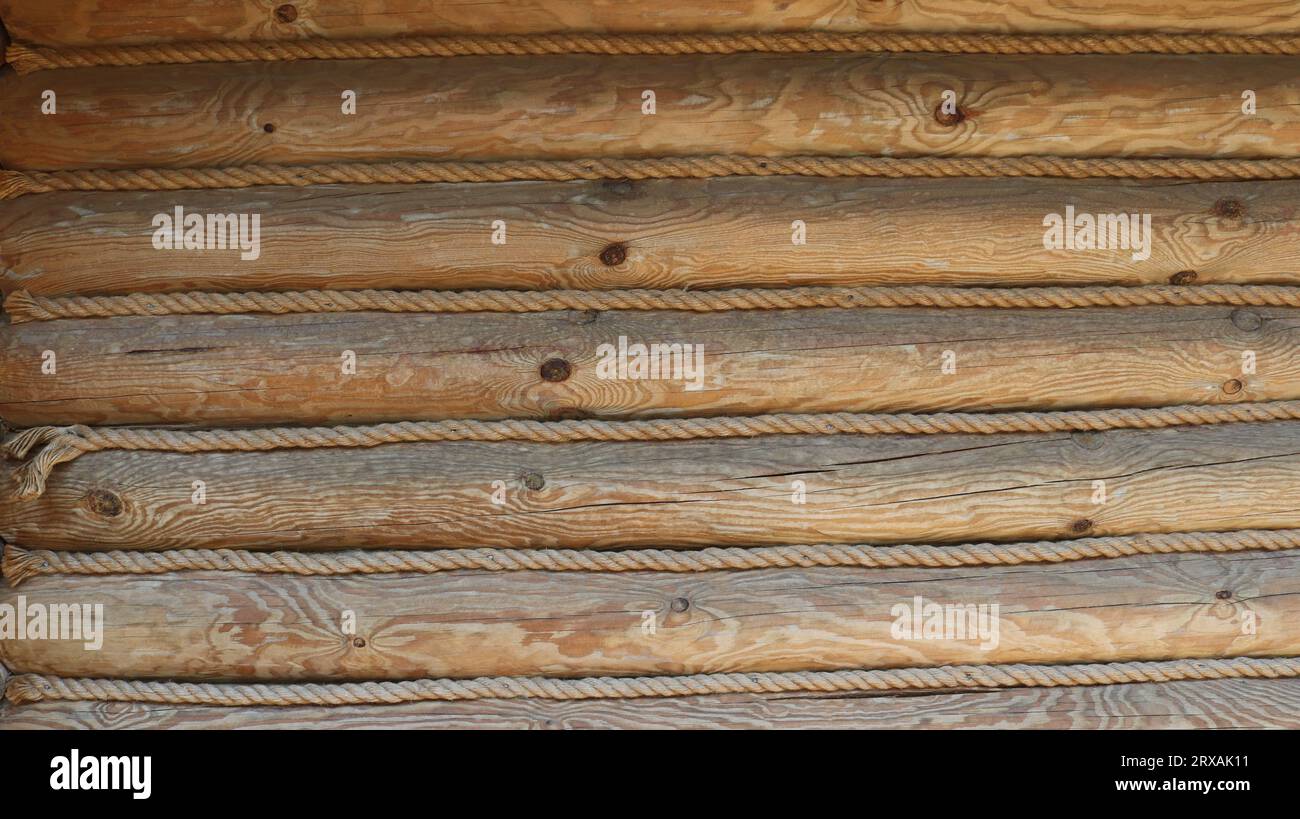 surface made of a solid log with a beautiful texture interlaced with ...