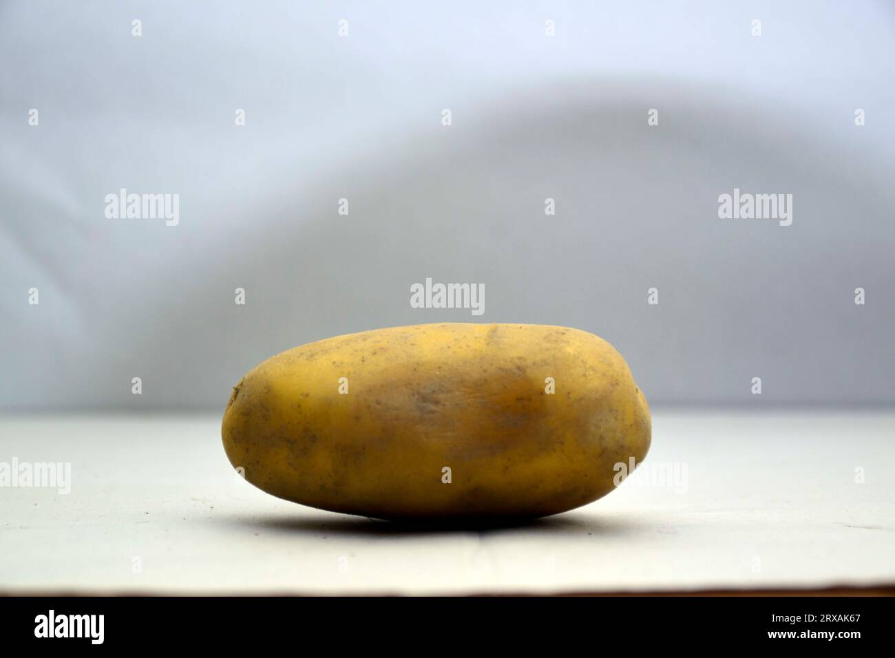 new potato isolated on white backround closeup image and only one ...
