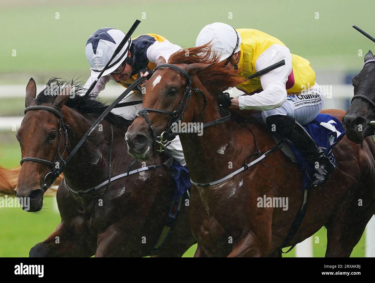 Gibbs island hi-res stock photography and images - Alamy