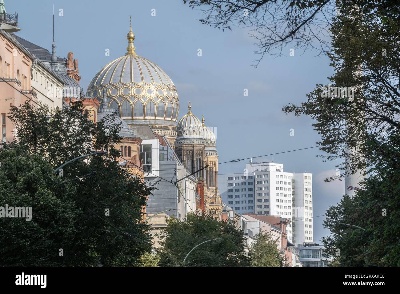Building central synagogue hi-res stock photography and images - Alamy
