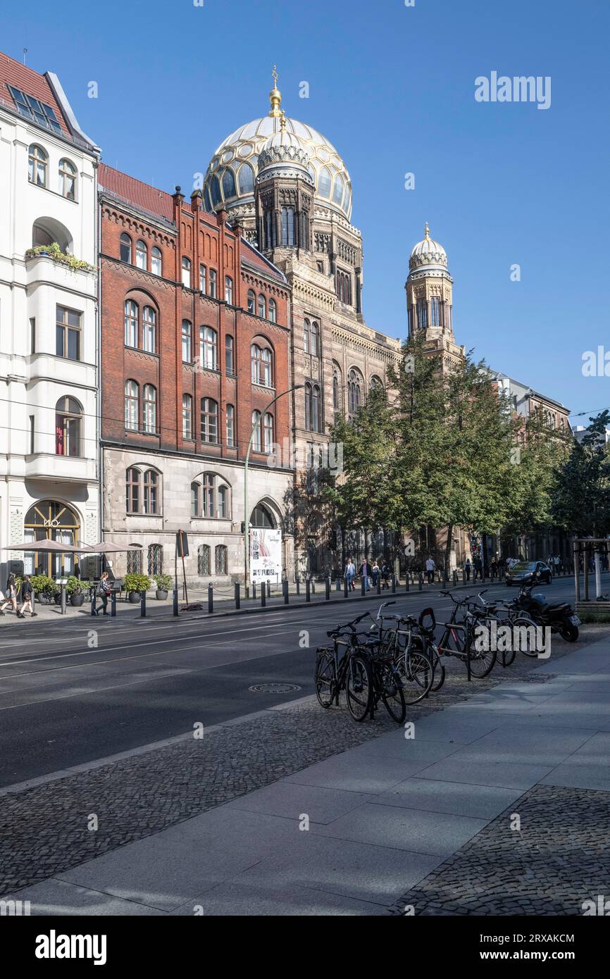 German synagogue hi-res stock photography and images - Alamy
