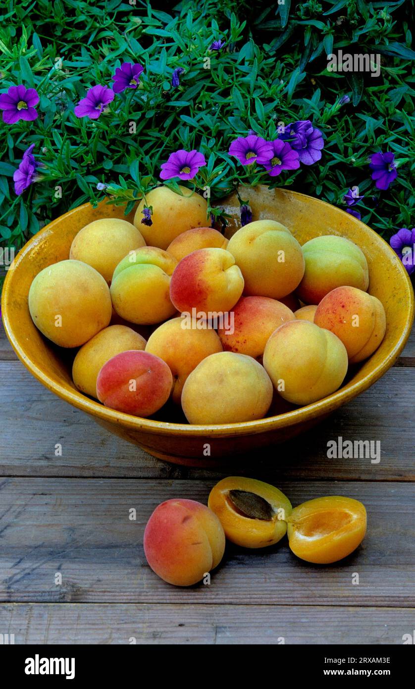 Persian apple hi-res stock photography and images - Alamy