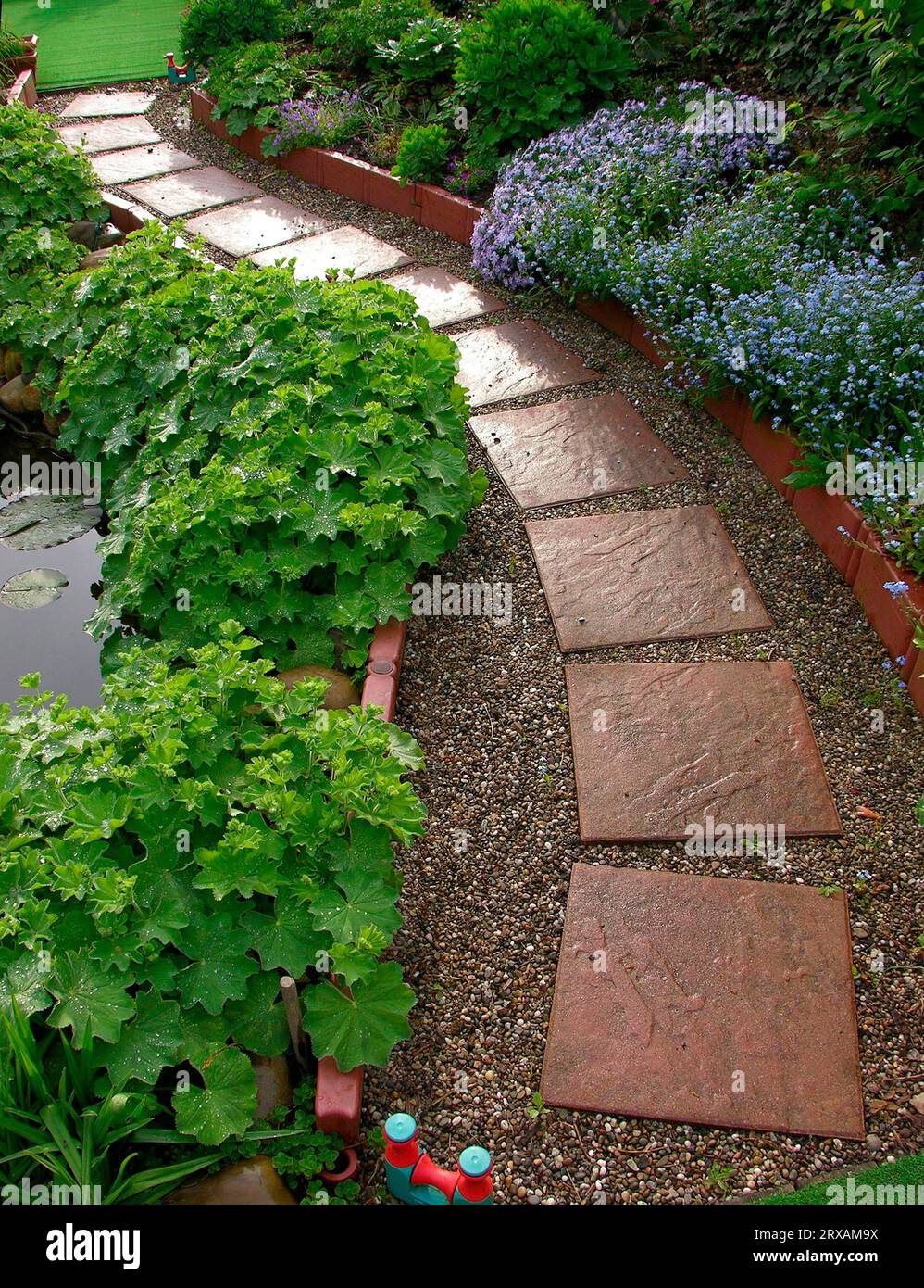Garden path after rain, wet pavement records path after rain, wet ...