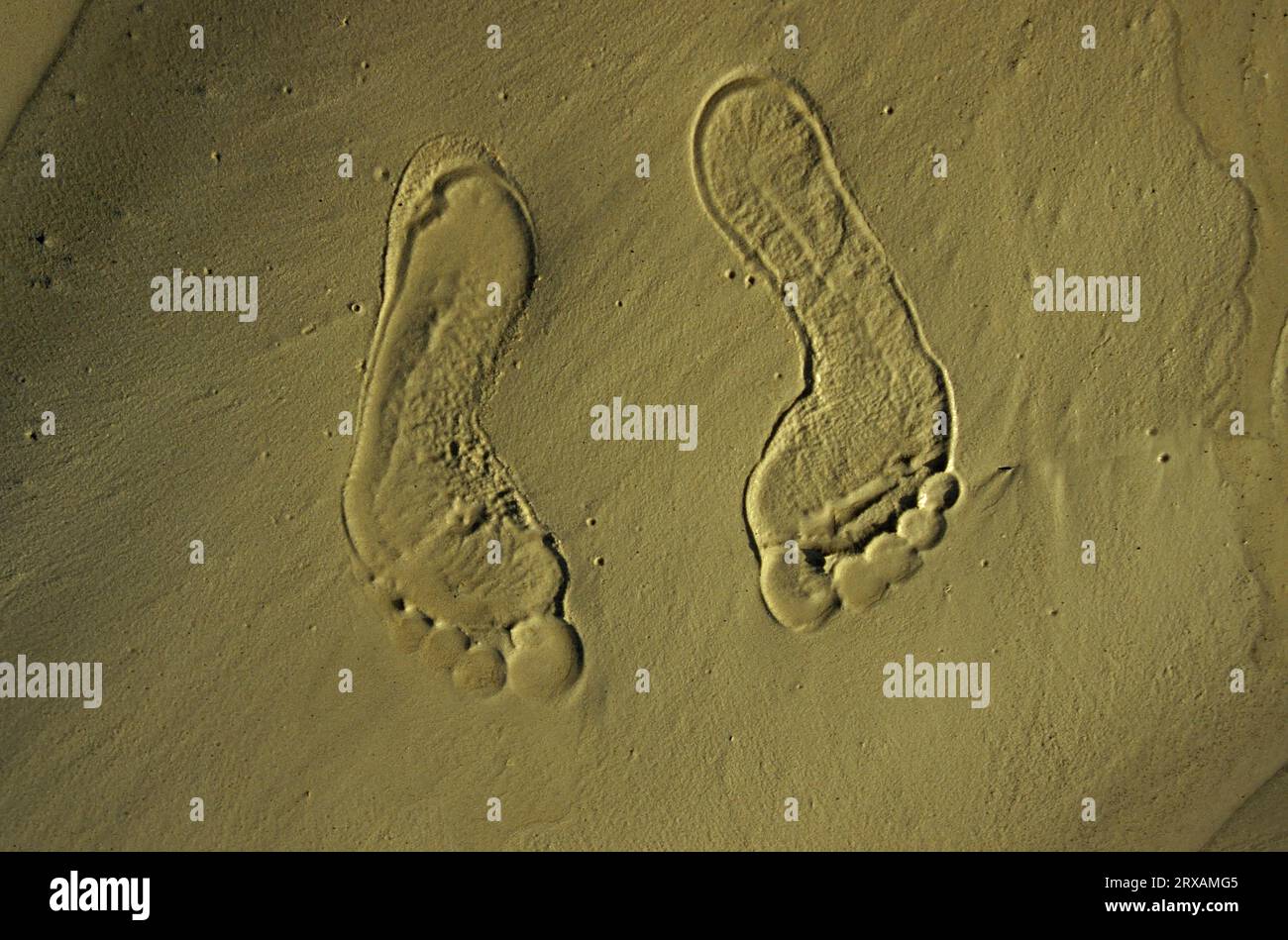 Drawn footprints hi-res stock photography and images - Alamy