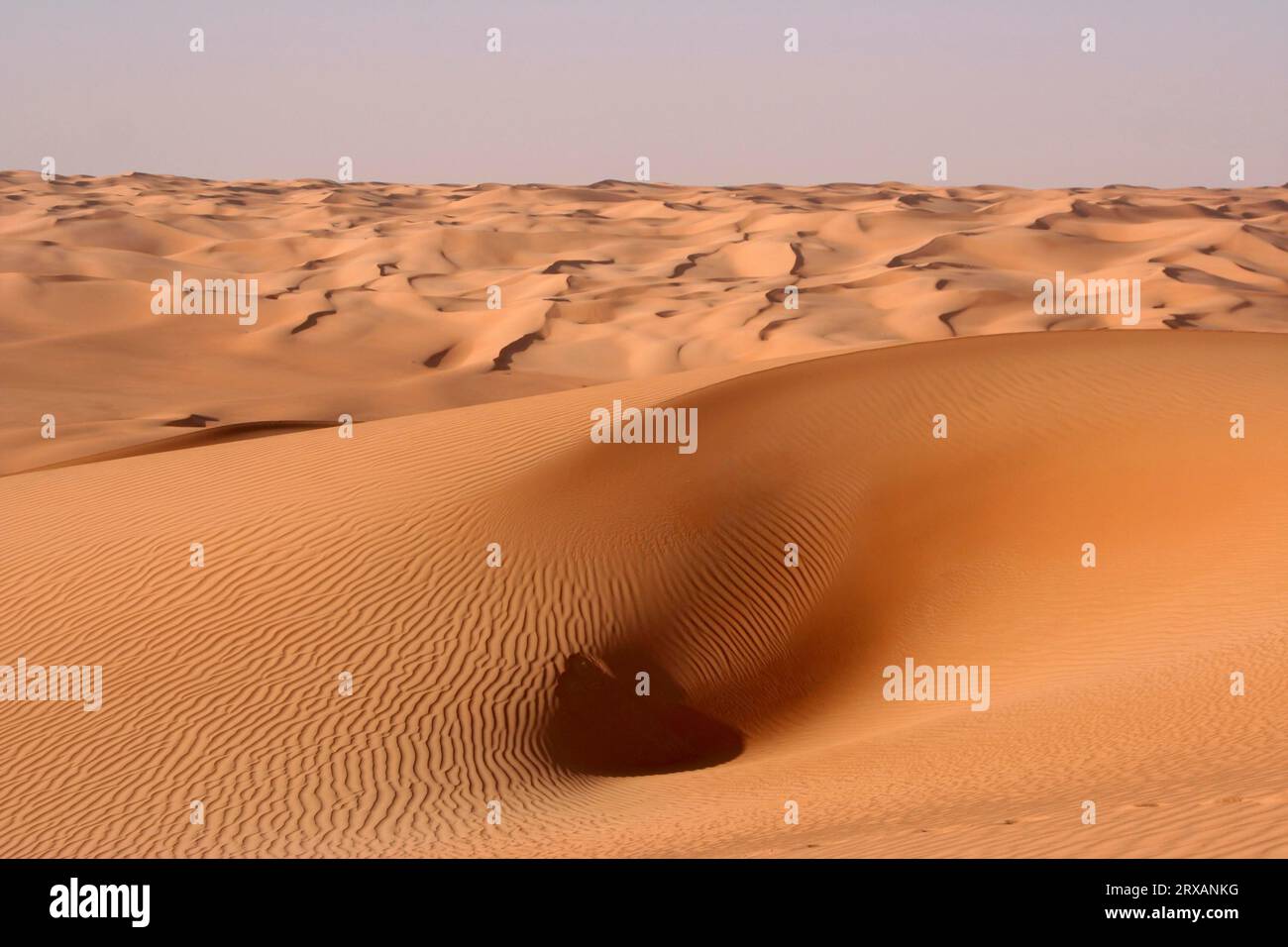Desert africa trap hi-res stock photography and images - Alamy