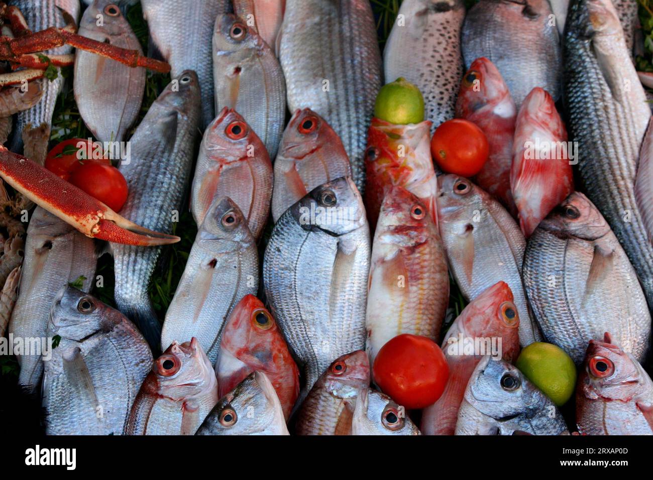 The display of a fish restaurant in Essaouira, Morocco Stock Photo - Alamy