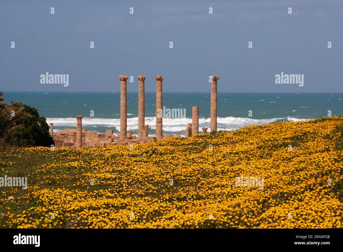 The Roman excavation site of Sabratha on the Mediterranean, Libya Stock ...