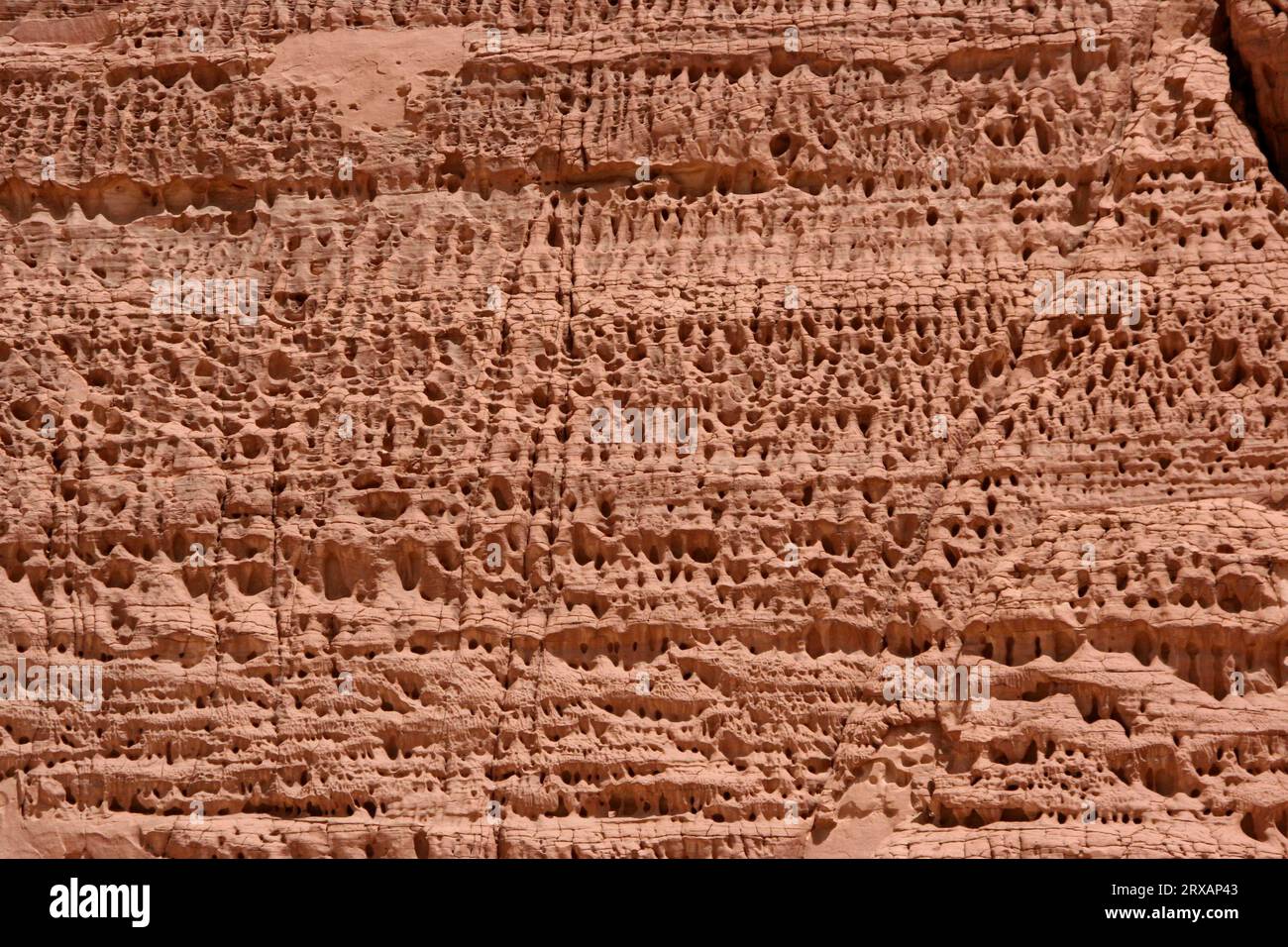 Erosion creates a bizarre pattern in the rock, Sinai Peninsula, Egypt ...