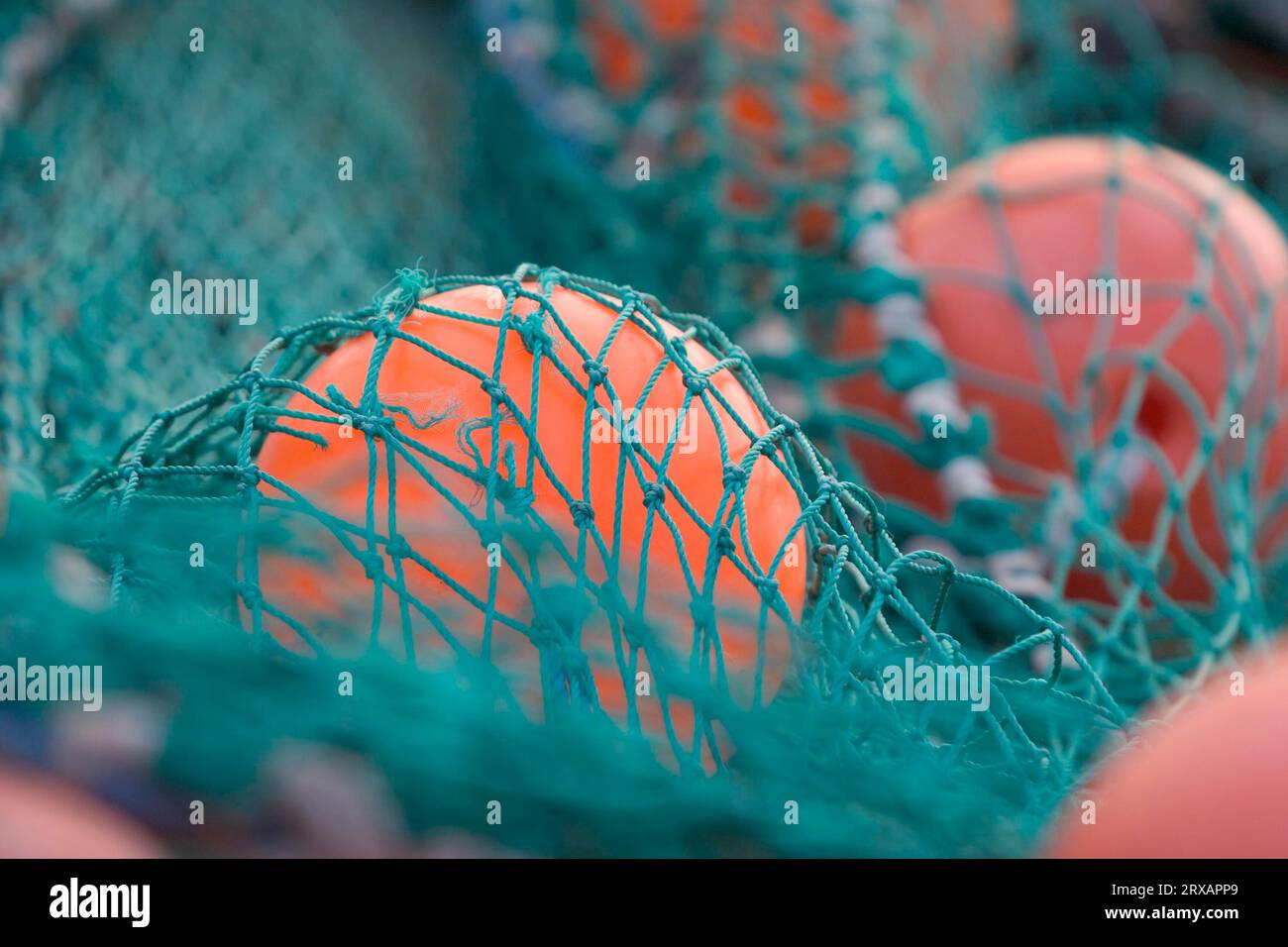 Fishing with spherical net hi-res stock photography and images - Alamy