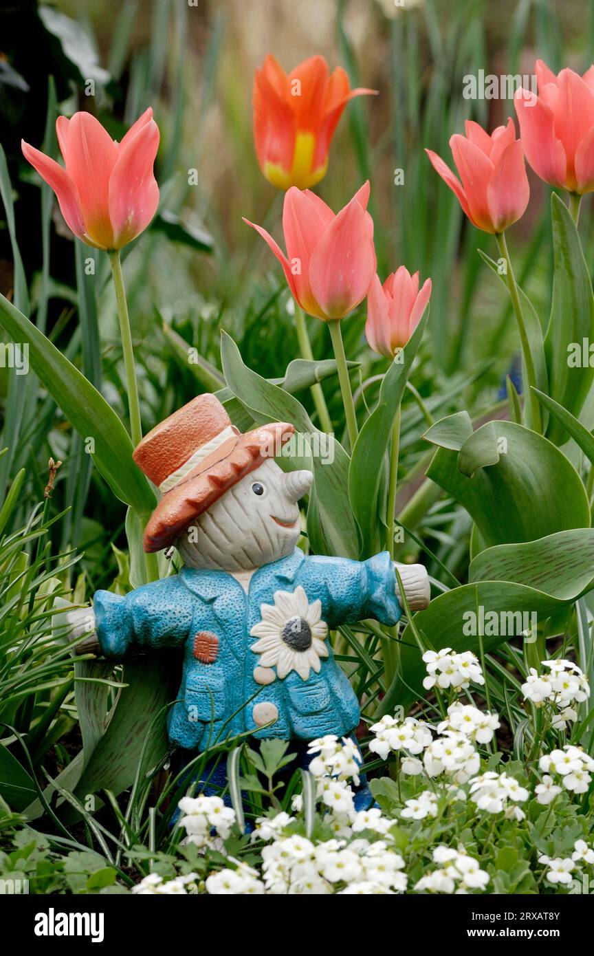 Garden figure and tulips Stock Photo - Alamy