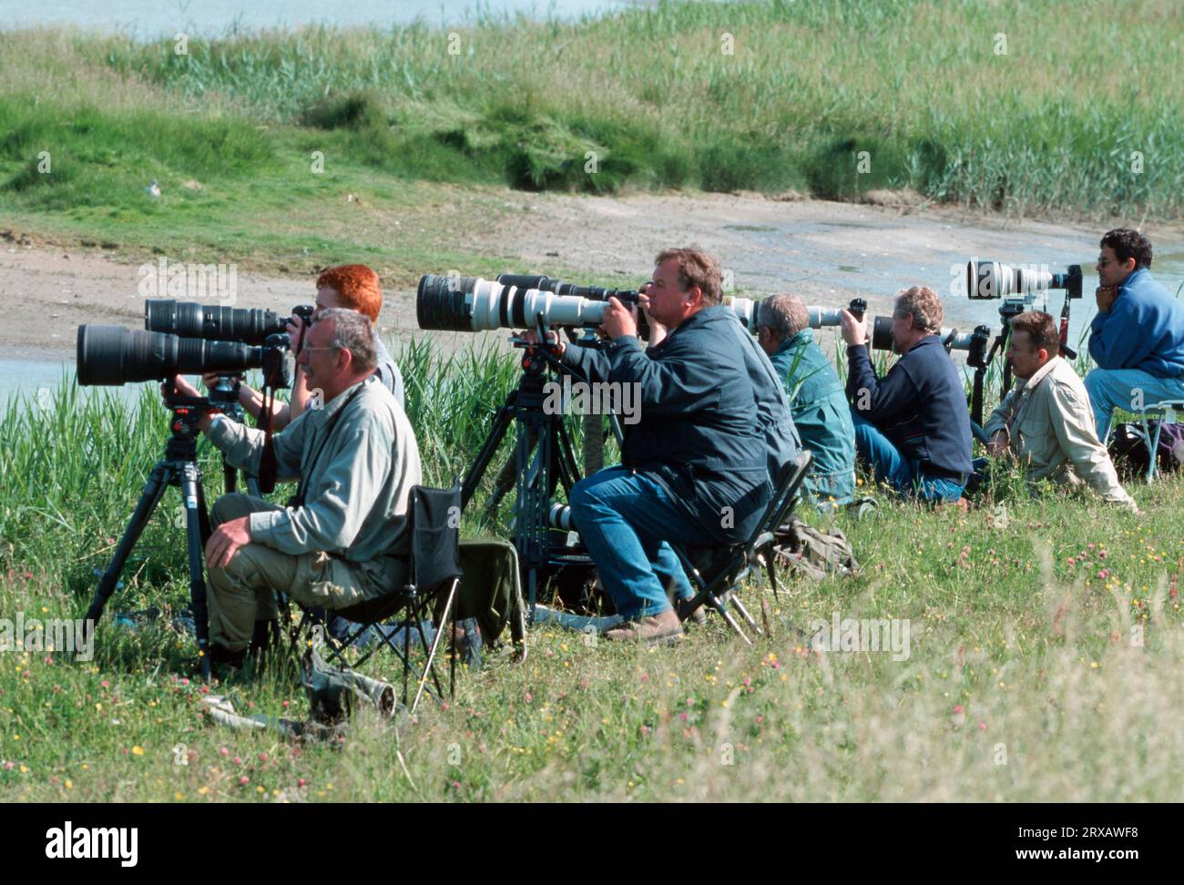 Wildlife photographers, Texel, Netherlands Stock Photo - Alamy