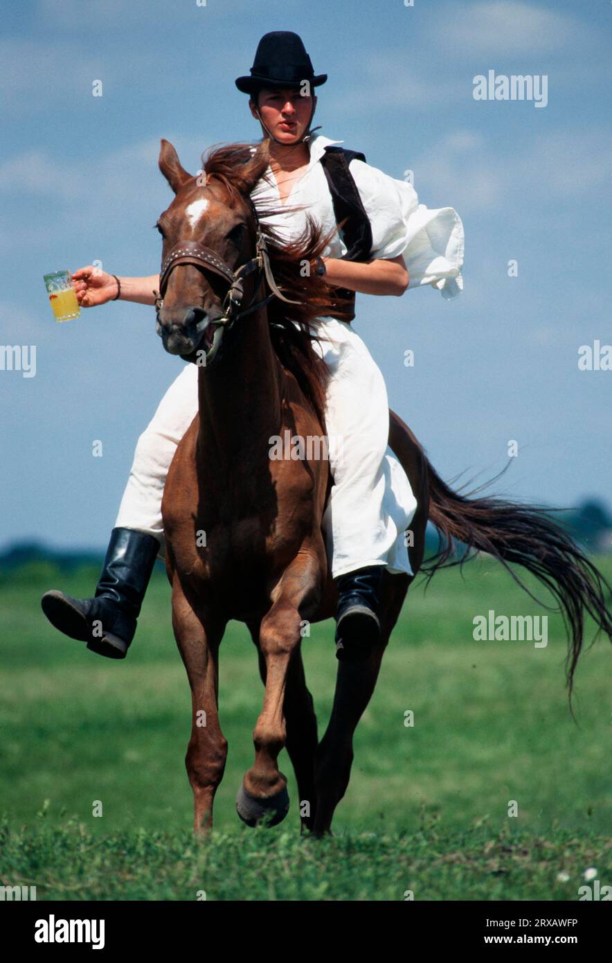 Riders at horse show, Bugac-Pusta, Hungary Stock Photo - Alamy