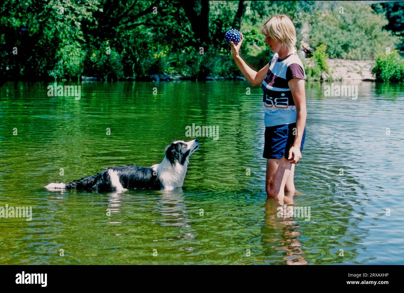 Boy plays with Border collie in the water, border-collie herding dogs ...