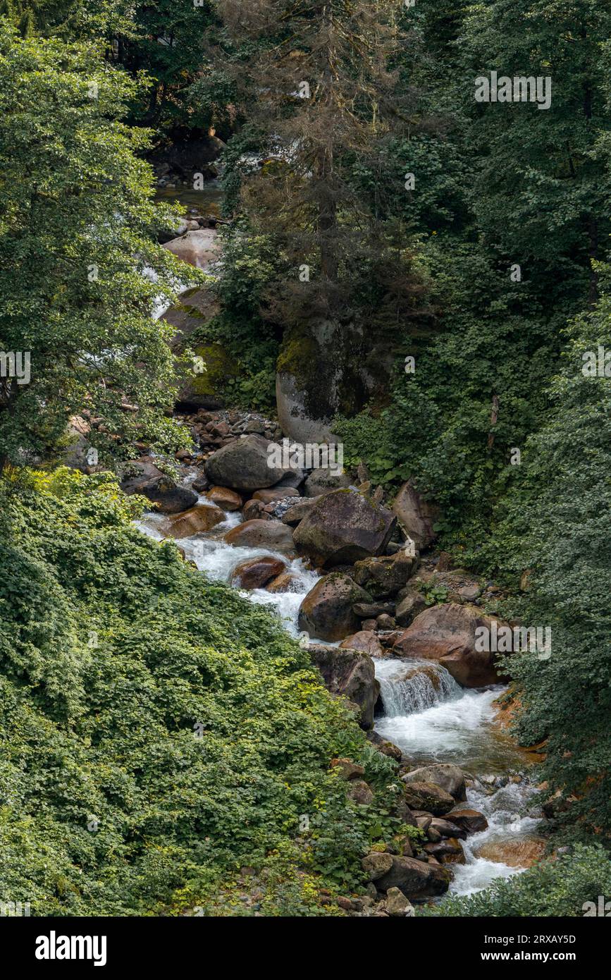 Stream flowing down a mountain hi-res stock photography and images - Alamy