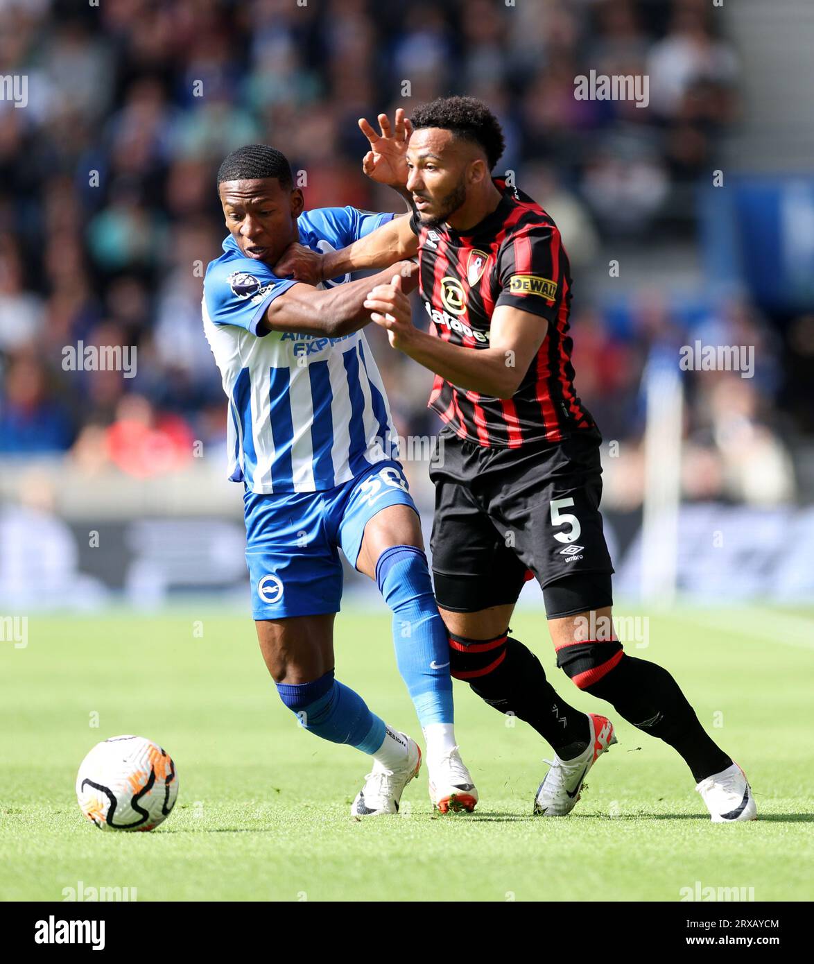 Lloyd kelly bournemouth hi-res stock photography and images - Alamy