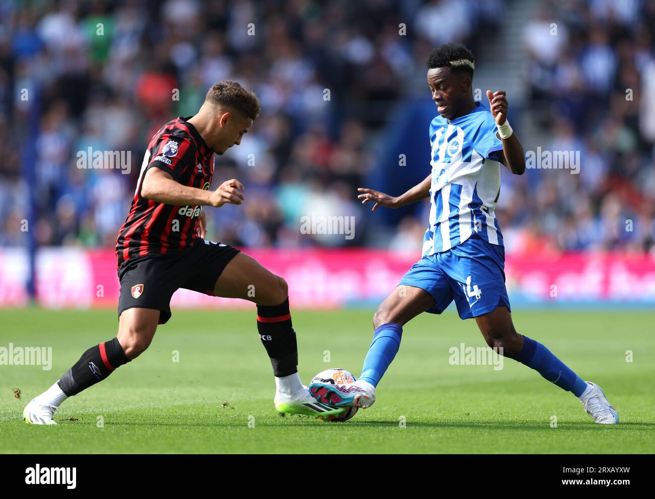 Bournemouth's Max Aarons (left) and Brighton and Hove Albion's Simon ...