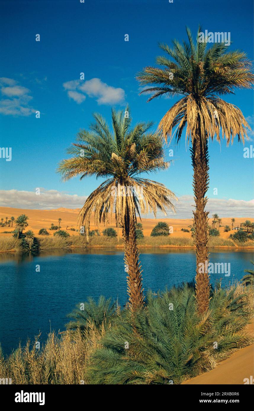 Um El Ma Oasis, Lake Mandara, Sahara Desert, Libya Stock Photo - Alamy